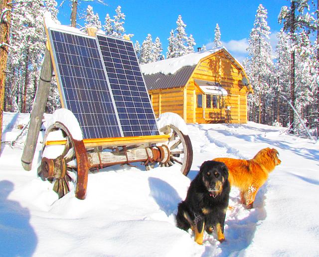 solar panels with dogs | Wilderness Dweller