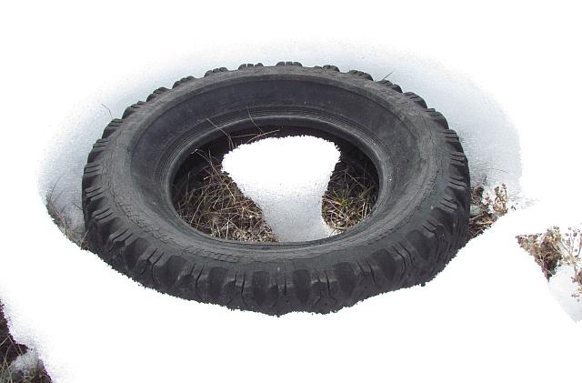 old tire | Wilderness Dweller