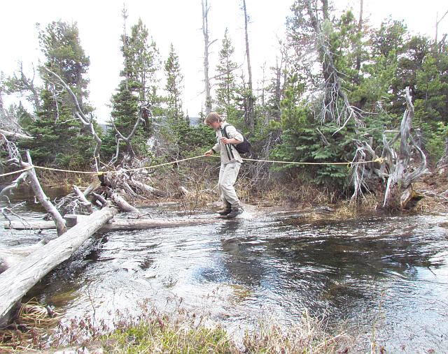 L-bridge | Wilderness Dweller