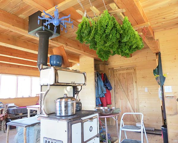 drying kale 2 | Wilderness Dweller