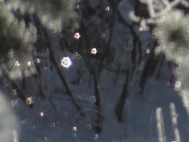 8 crystals in air | Wilderness Dweller