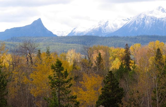14. best fall colours | Wilderness Dweller