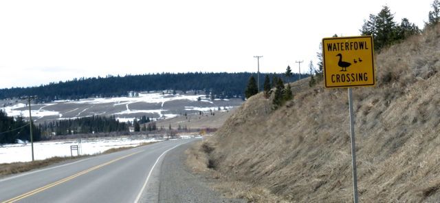 6 road sign | Wilderness Dweller