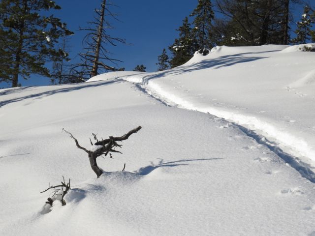 16 top of slope | Wilderness Dweller