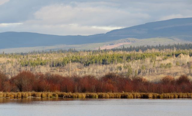 14 Tatla Lake | Wilderness Dweller