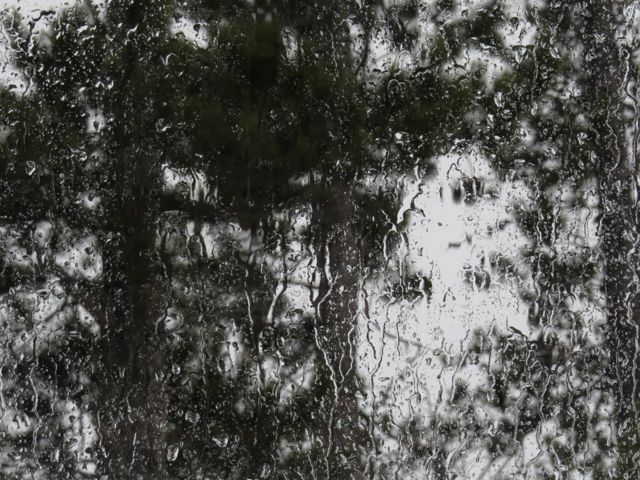 5 rain | Wilderness Dweller