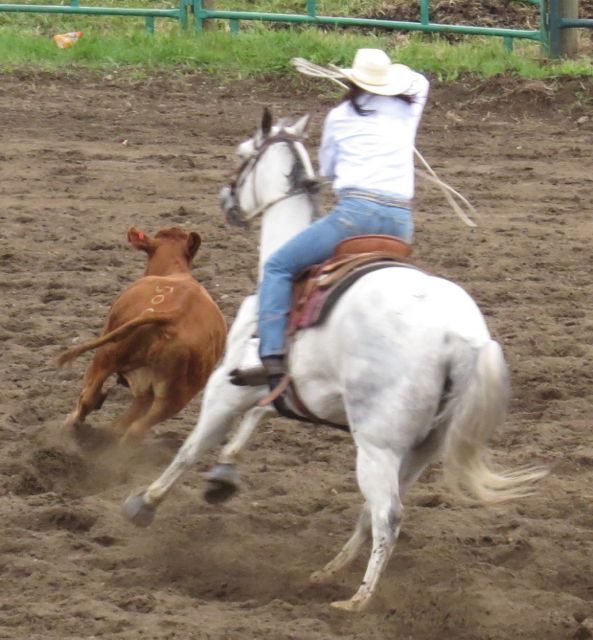 4 breakaway calf roping | Wilderness Dweller