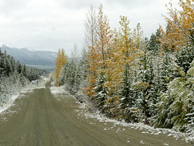 22a-logging-road-2 | Wilderness Dweller