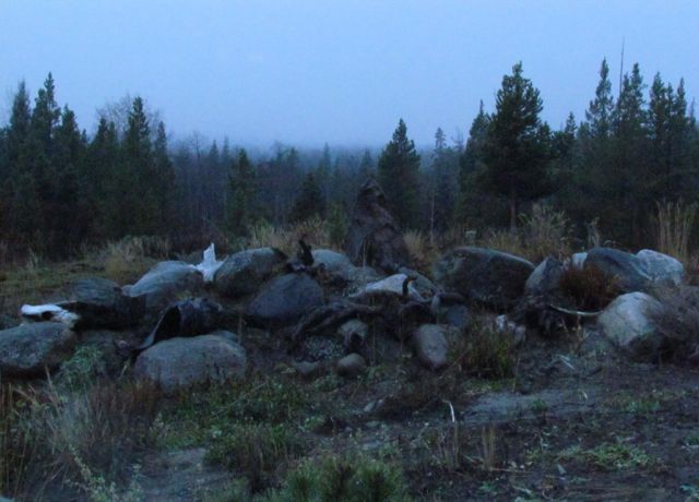 Once Upon November Dreary | Wilderness Dweller