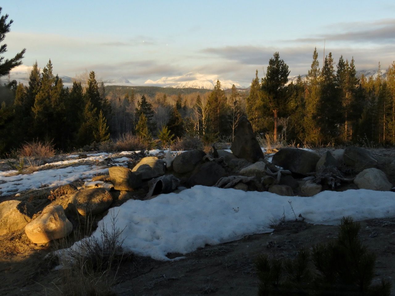 Spring – sort of! | Wilderness Dweller