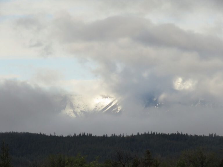 What Happened to Spring? | Wilderness Dweller