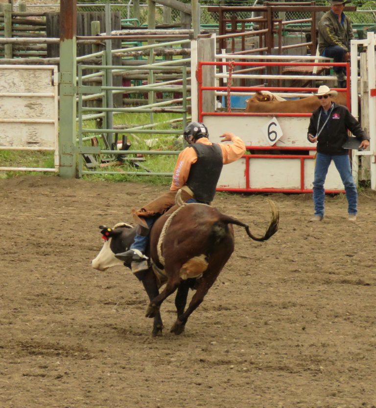 15 cow riding | Wilderness Dweller