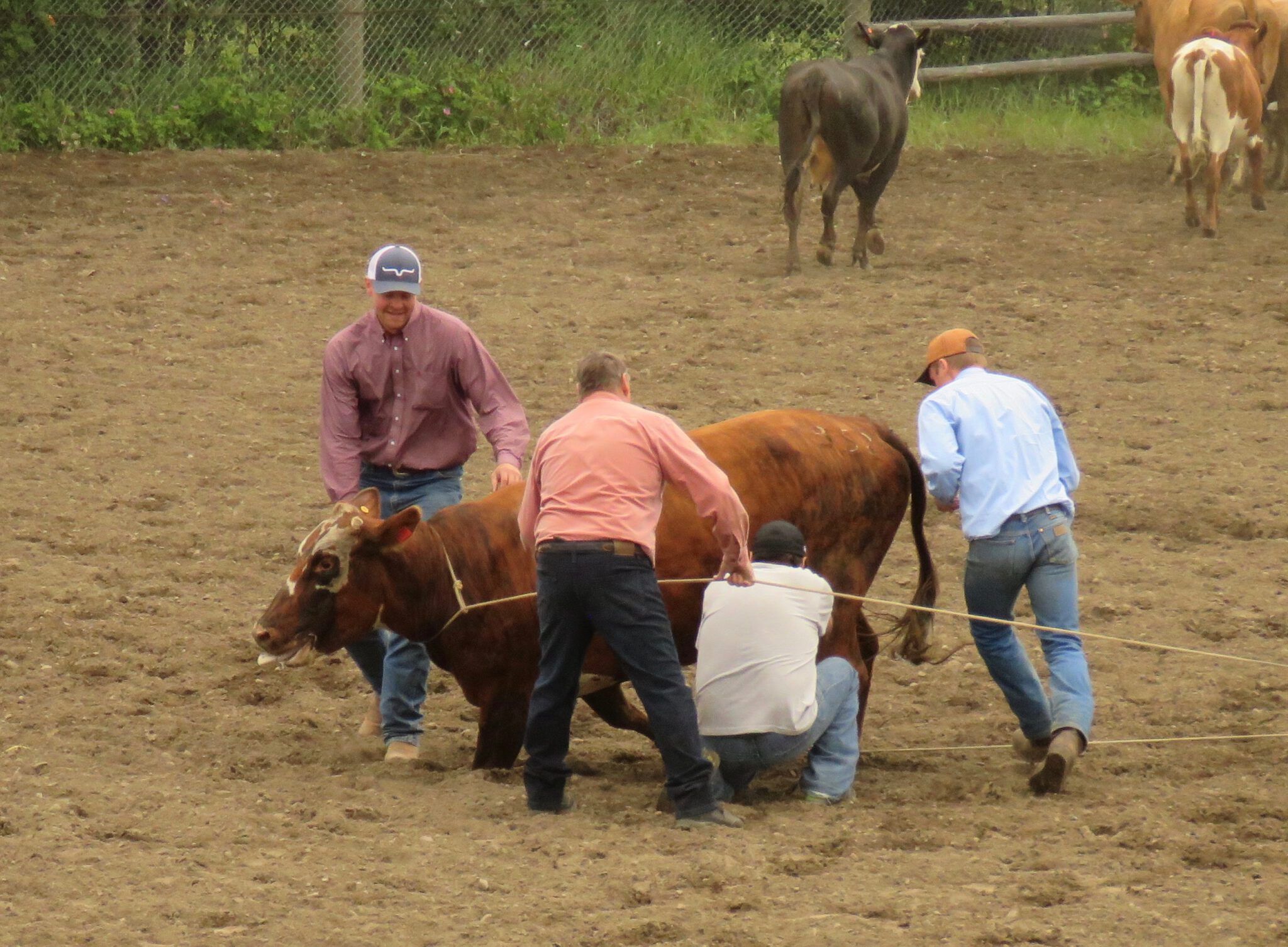 Anahim Lake Rodeo | Wilderness Dweller
