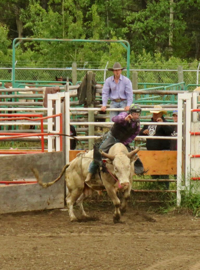 35 bull riding 1 | Wilderness Dweller