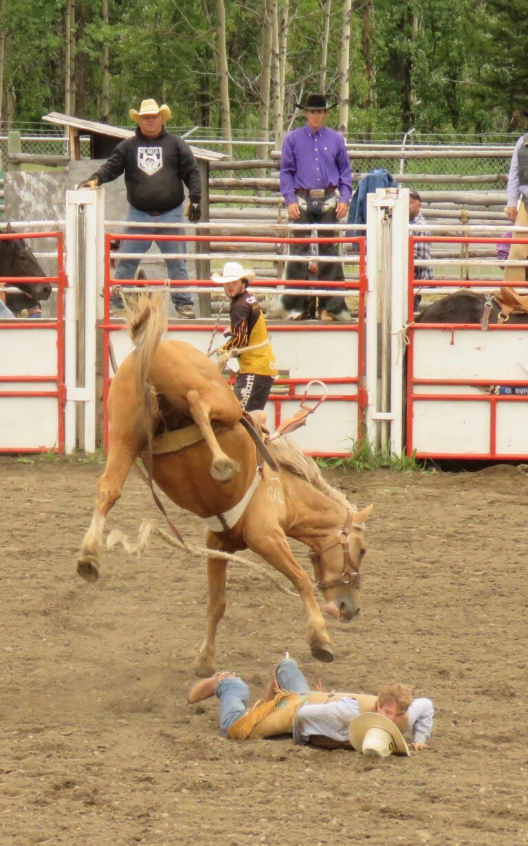 Anahim Lake Rodeo | Wilderness Dweller