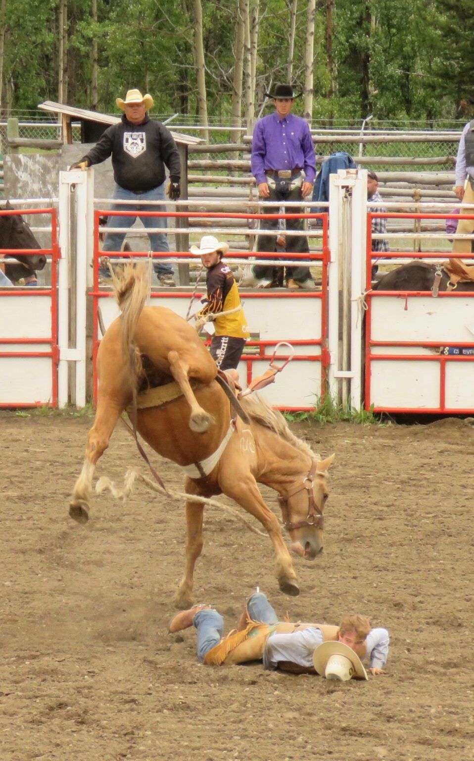 Anahim Lake Rodeo | Wilderness Dweller