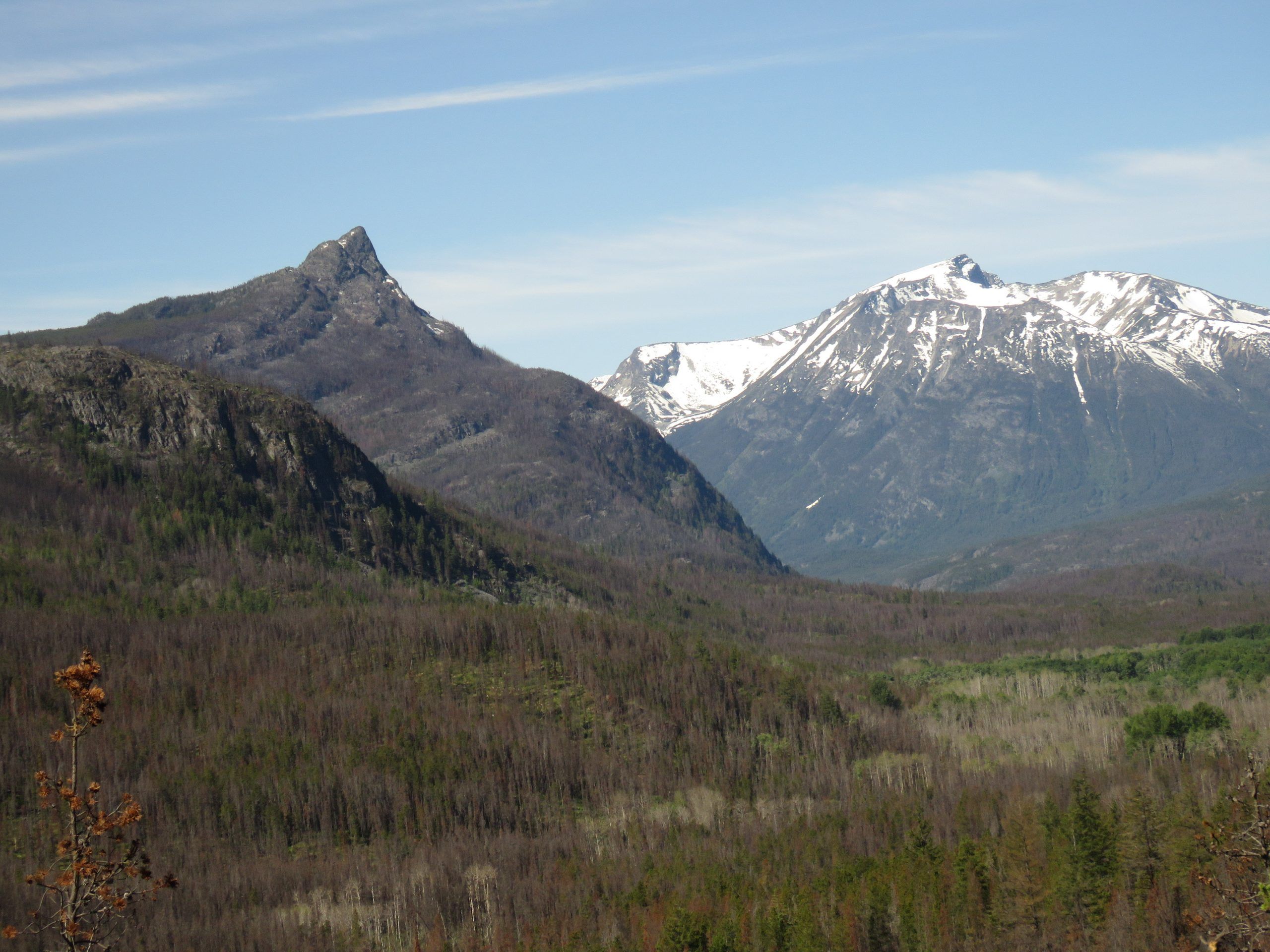 20 viewpoint | Wilderness Dweller