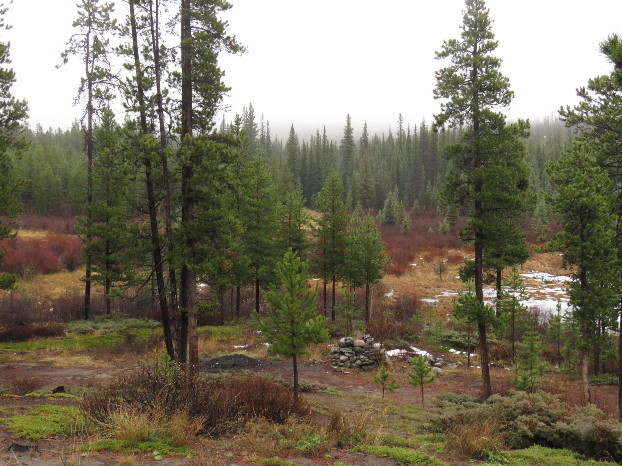 22 more rAin | Wilderness Dweller