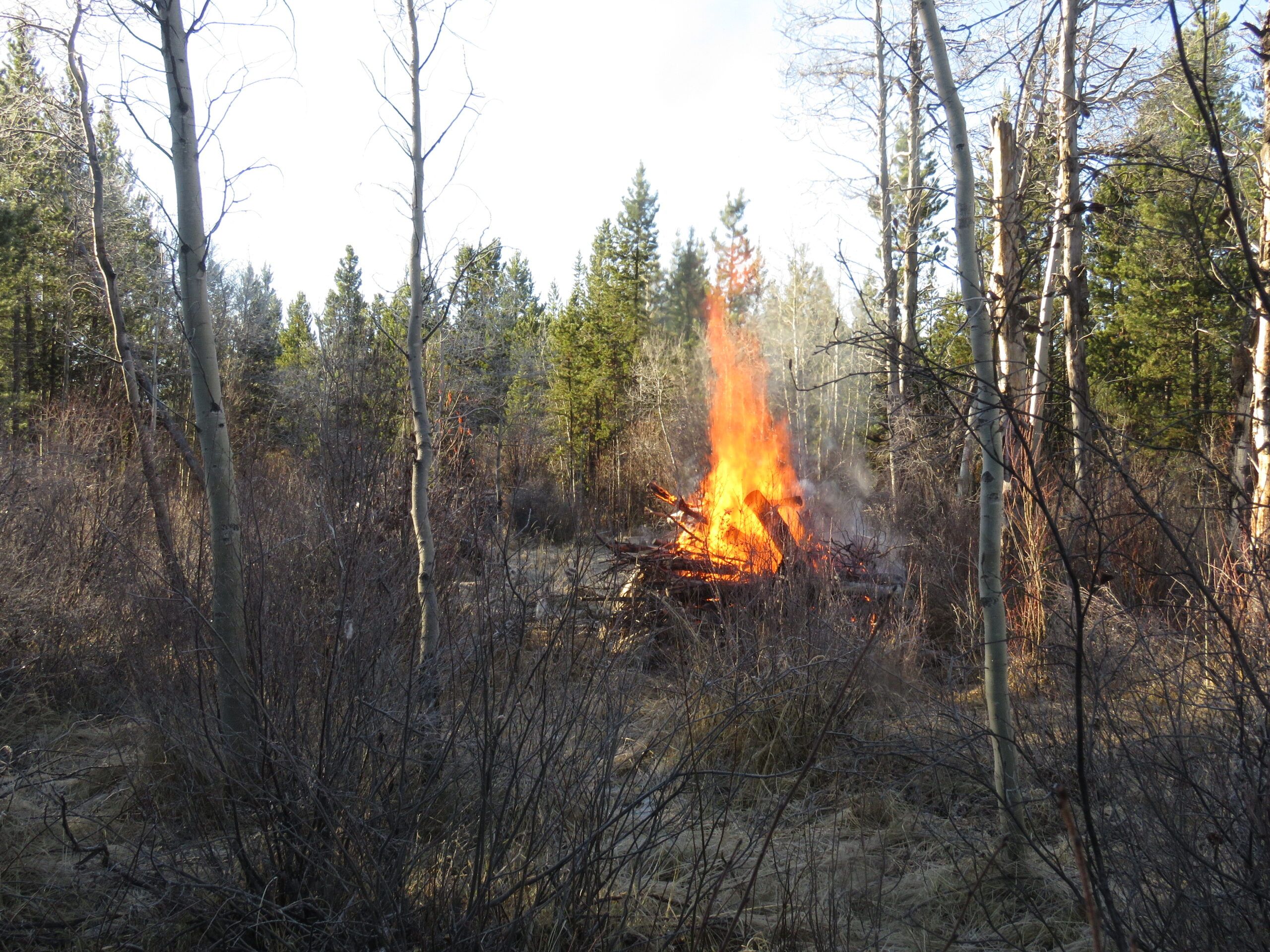 32 burning alone | Wilderness Dweller
