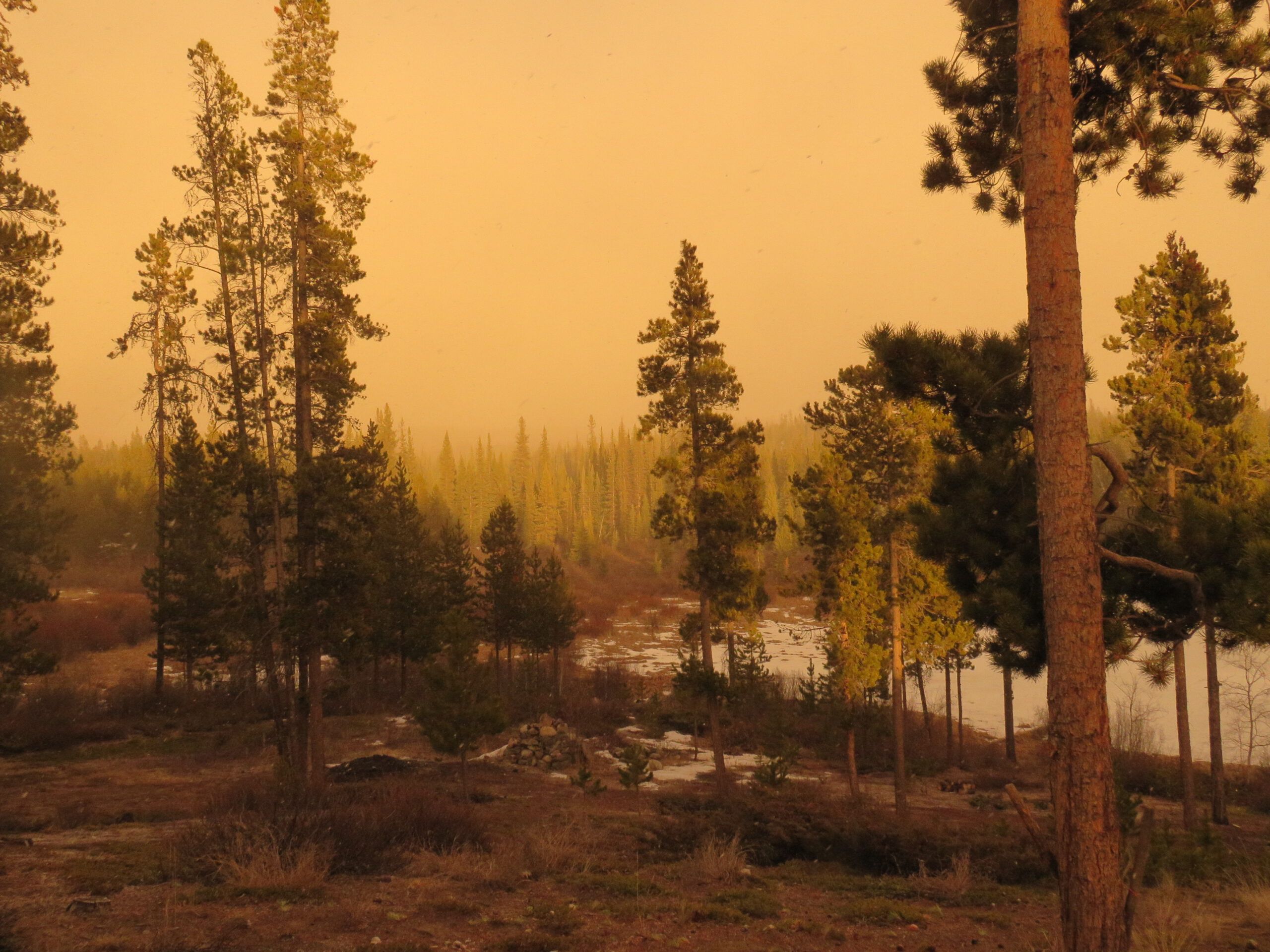 10 evening snowstorm | Wilderness Dweller