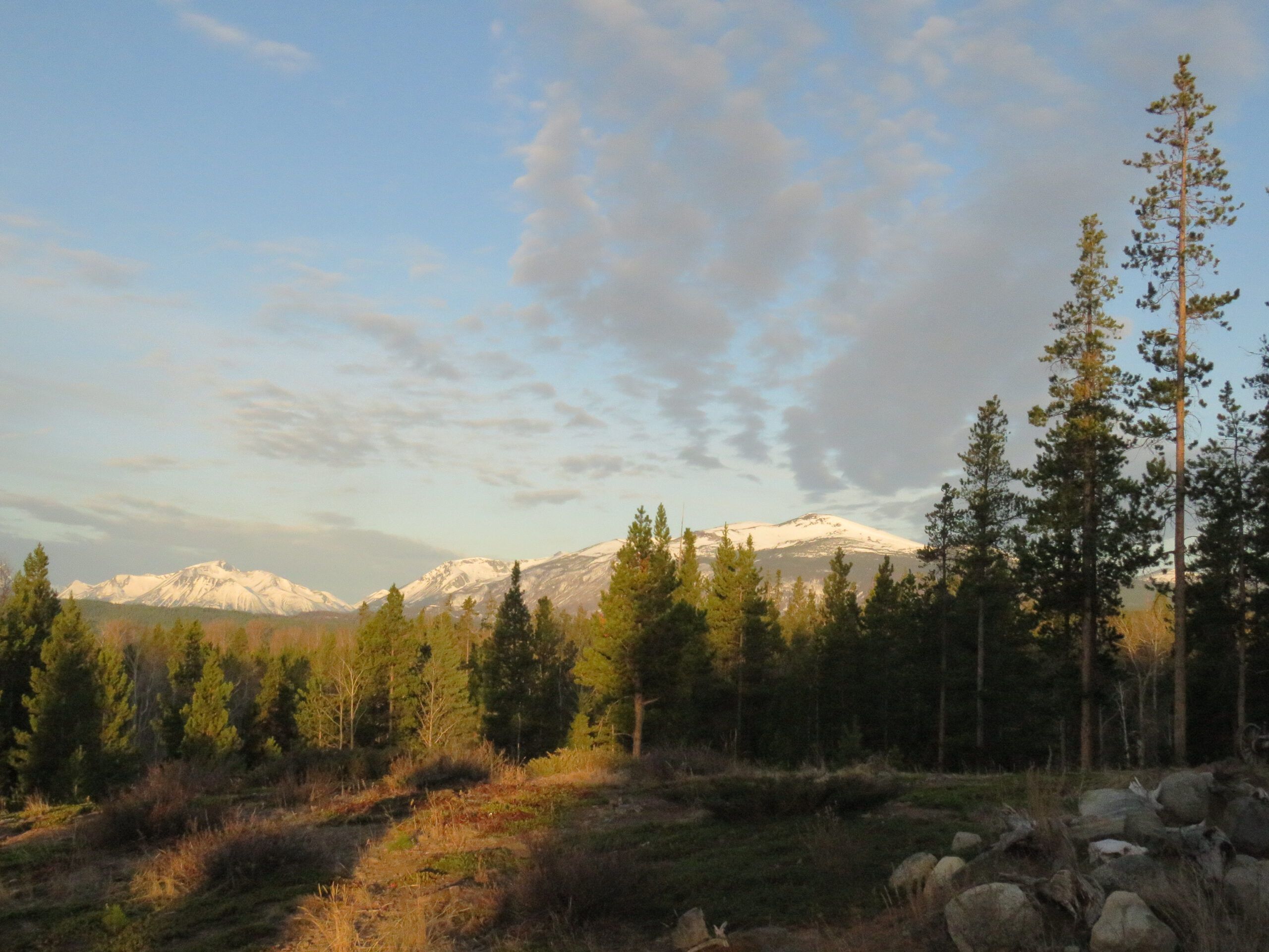 4 spring morning best | Wilderness Dweller