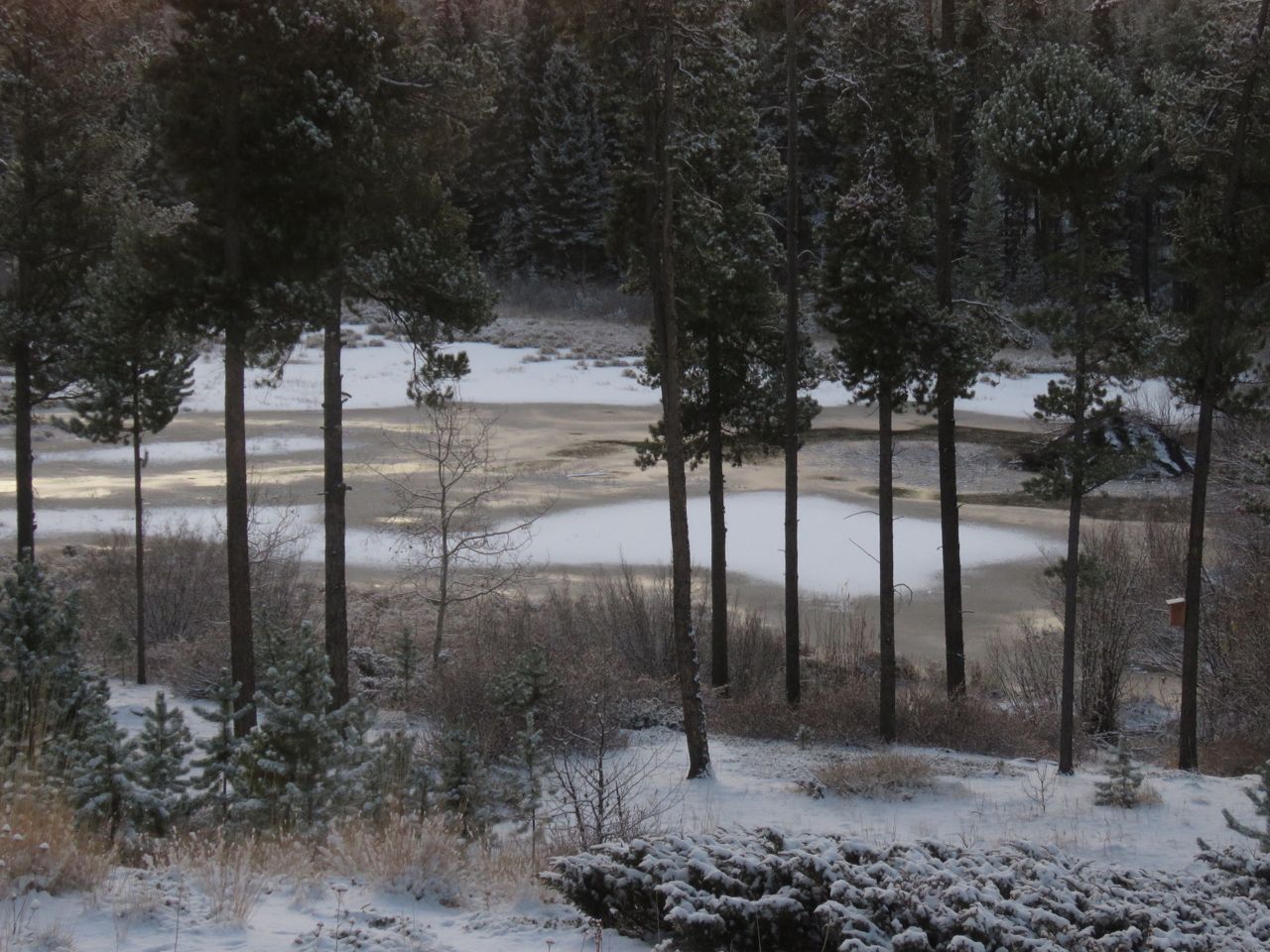 Arrival of Winter | Wilderness Dweller