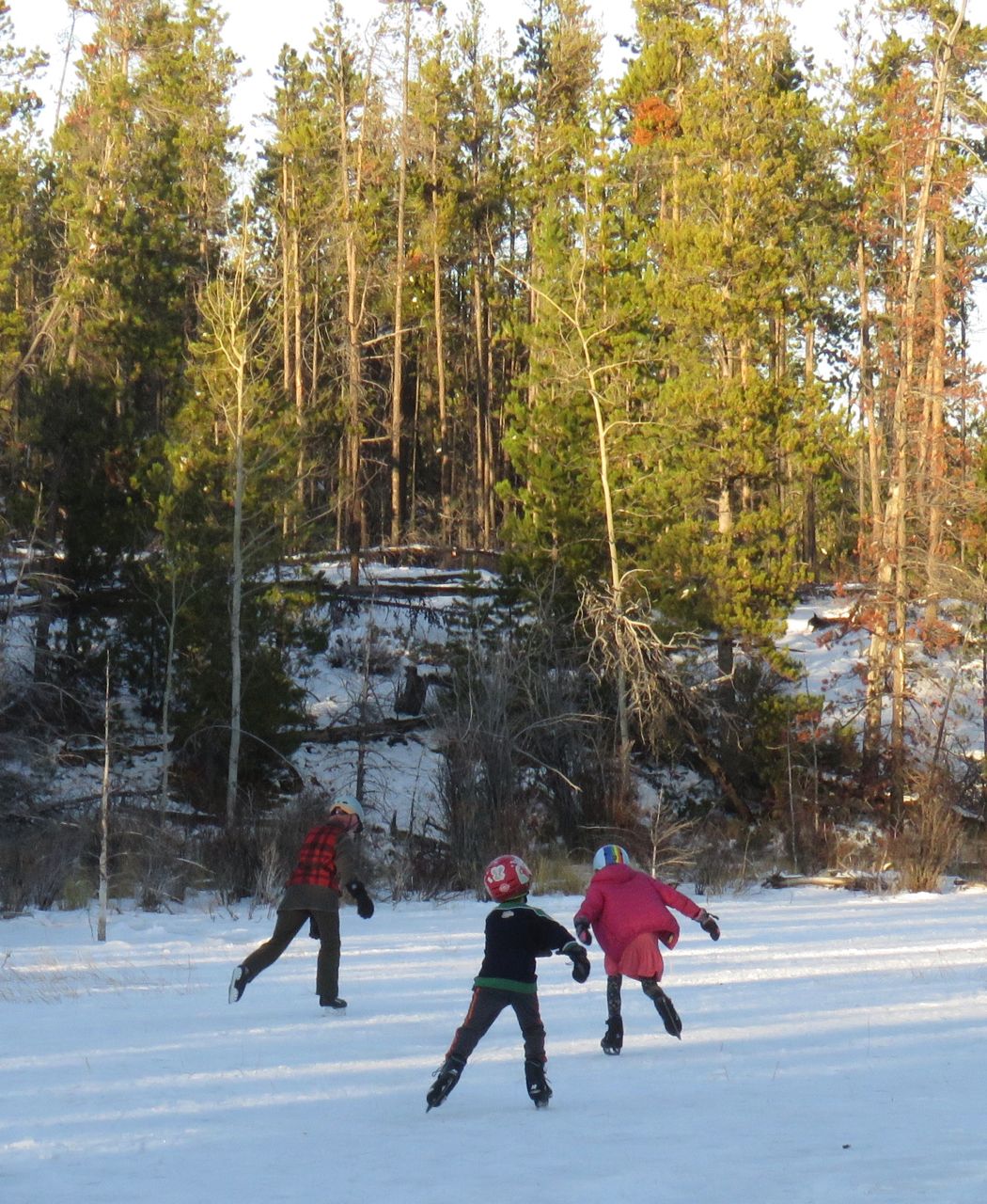 Arrival of Winter | Wilderness Dweller