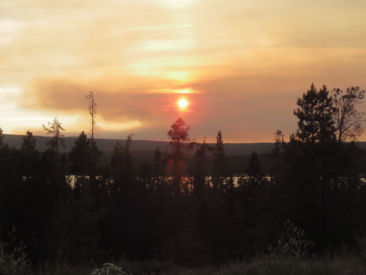 Where There’s Smoke There’s Fire. | Wilderness Dweller