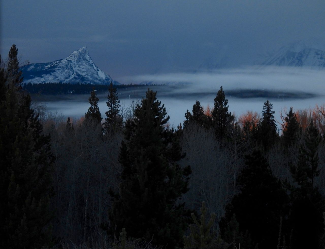 Wilderness Dweller | One Woman's Life In The Wilderness