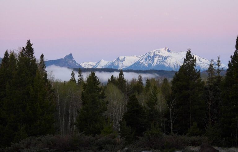 Wilderness Dweller | One Woman's Life In The Wilderness