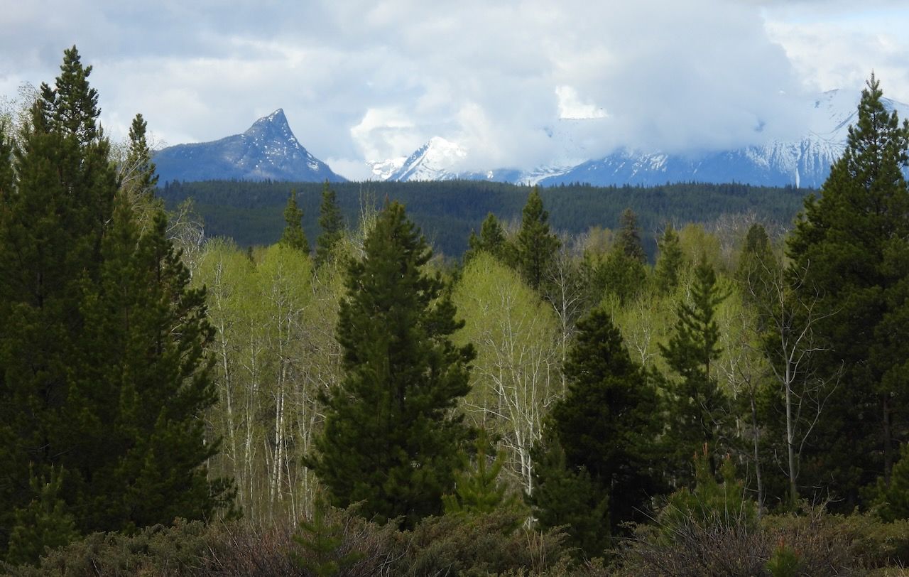 Wilderness Dweller | One Woman's Life In The Wilderness